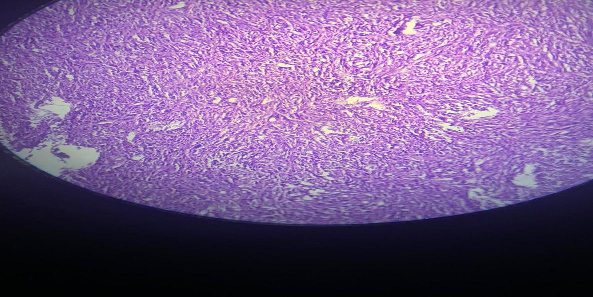 Histopathology - Capital Diagnostic Centre